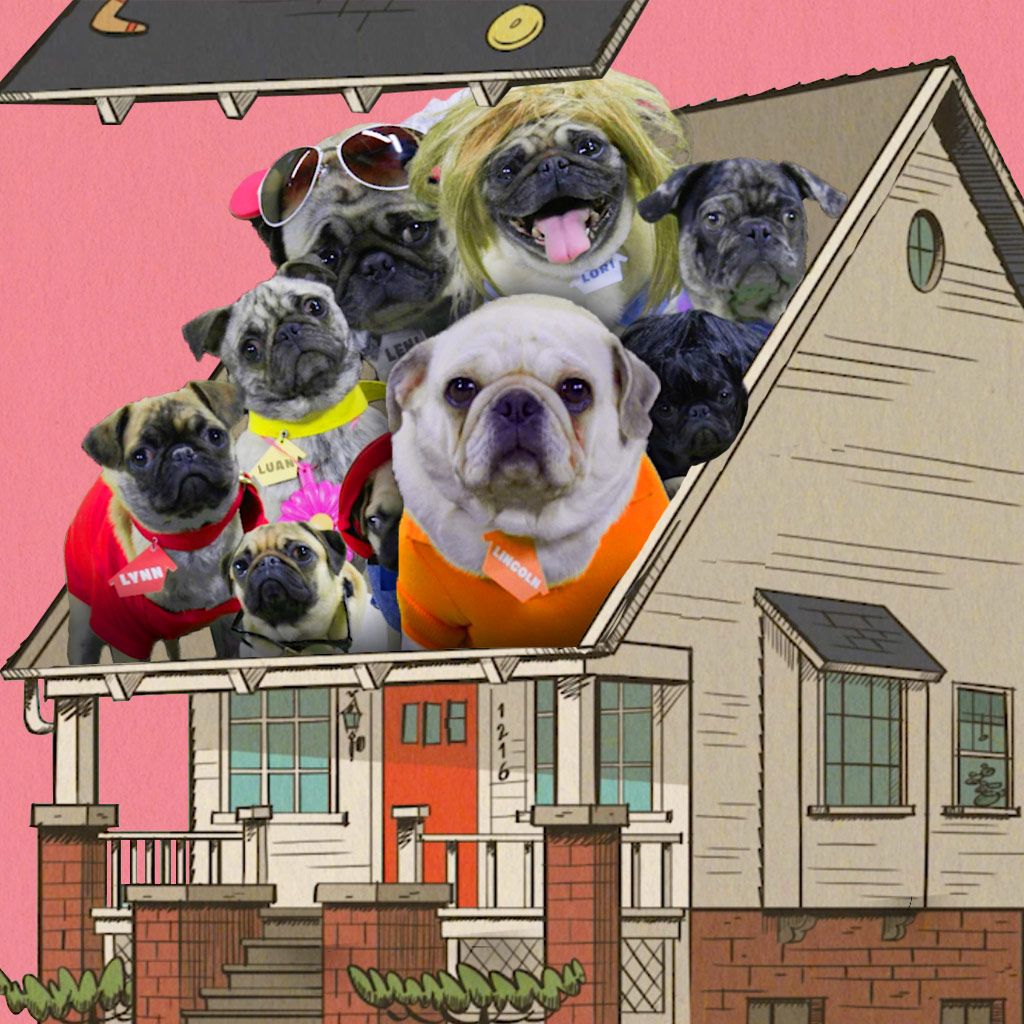 The Loud House: "Pug House" - The Loud House (Video Clip) | Nick